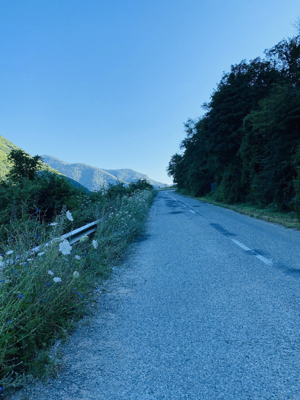 Poem de duminică | Lazăr Elena